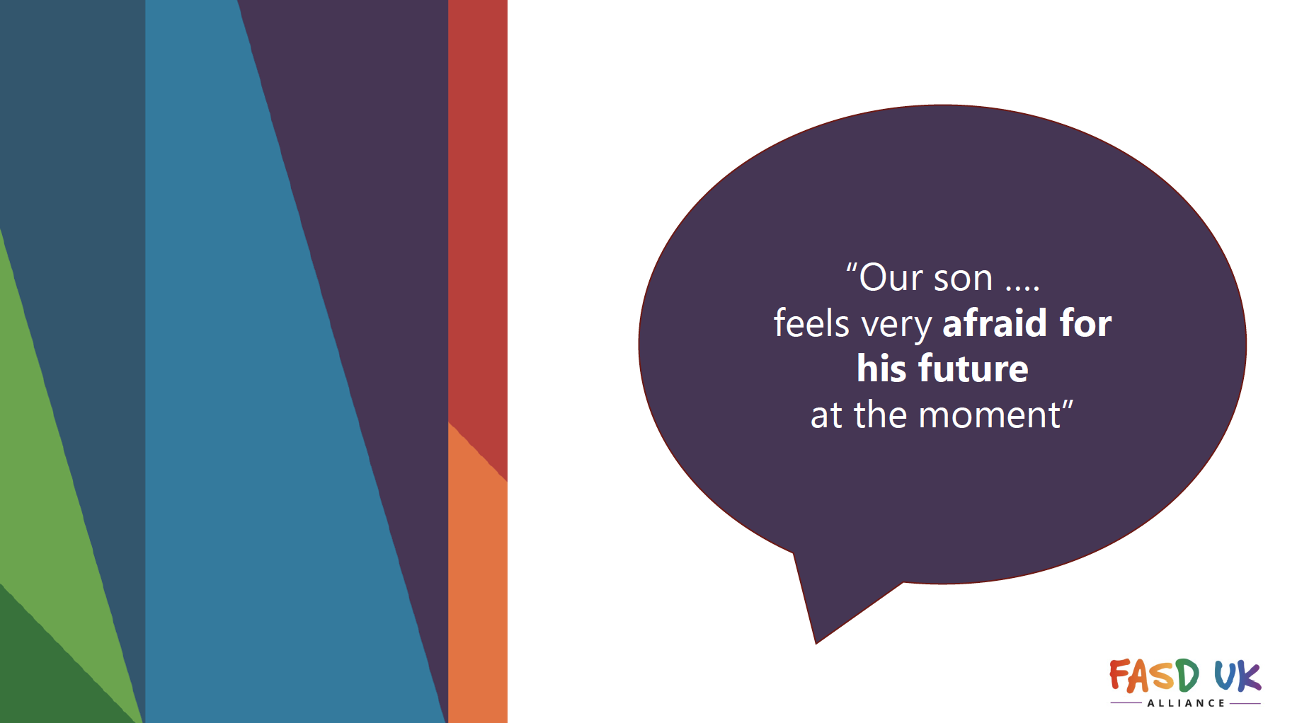 Project on FASD Management Plans – FASD UK Alliance